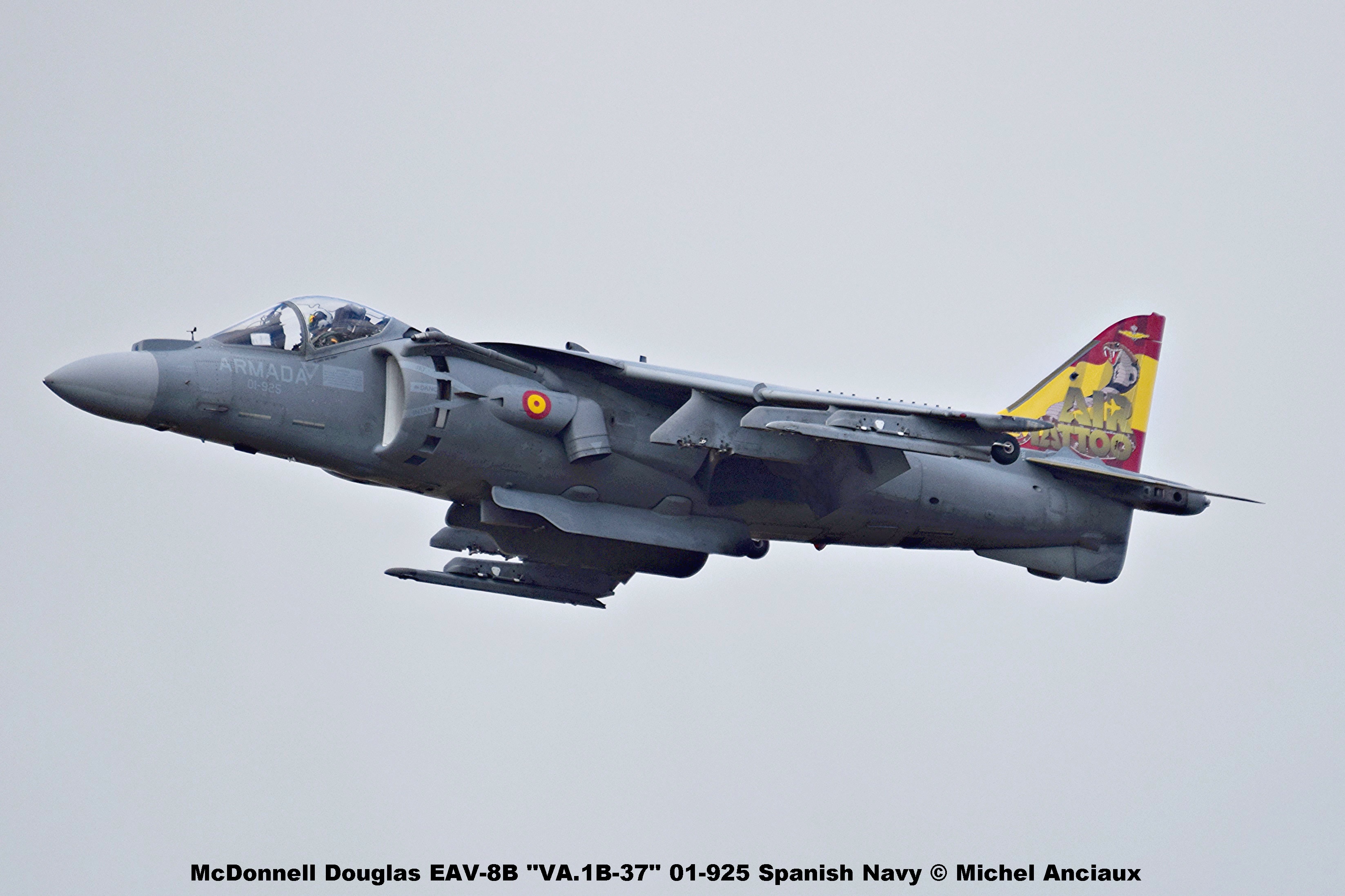 DSC_2348 McDonnell Douglas EAV-8B »VA.1B-37» 01-925 Spanish Navy © Michel Anciaux – Aviation ...